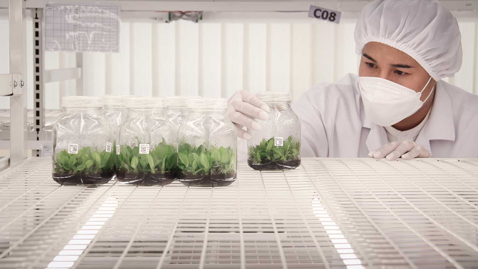 Biotechnology Laboratory – PTS